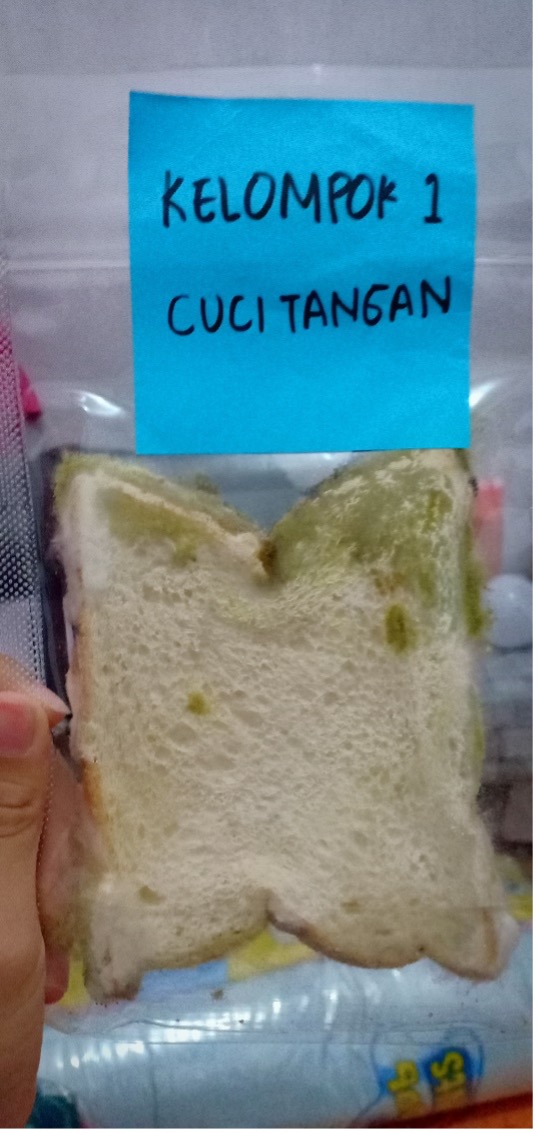 Membuat Eksperimen Sains Roti Basi pada Pembelajaran Anak di Kelas ...